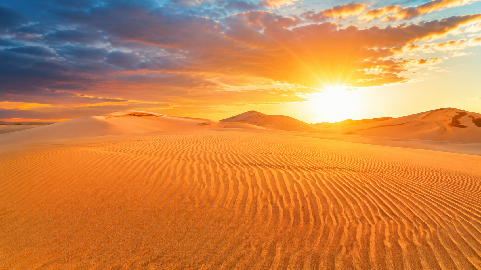 The Sahara’s endless dunes glowing at golden sunset