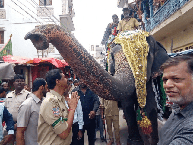 Kerala elephant Sreedevi to lead Hyderabad's Bibi Ka Alam