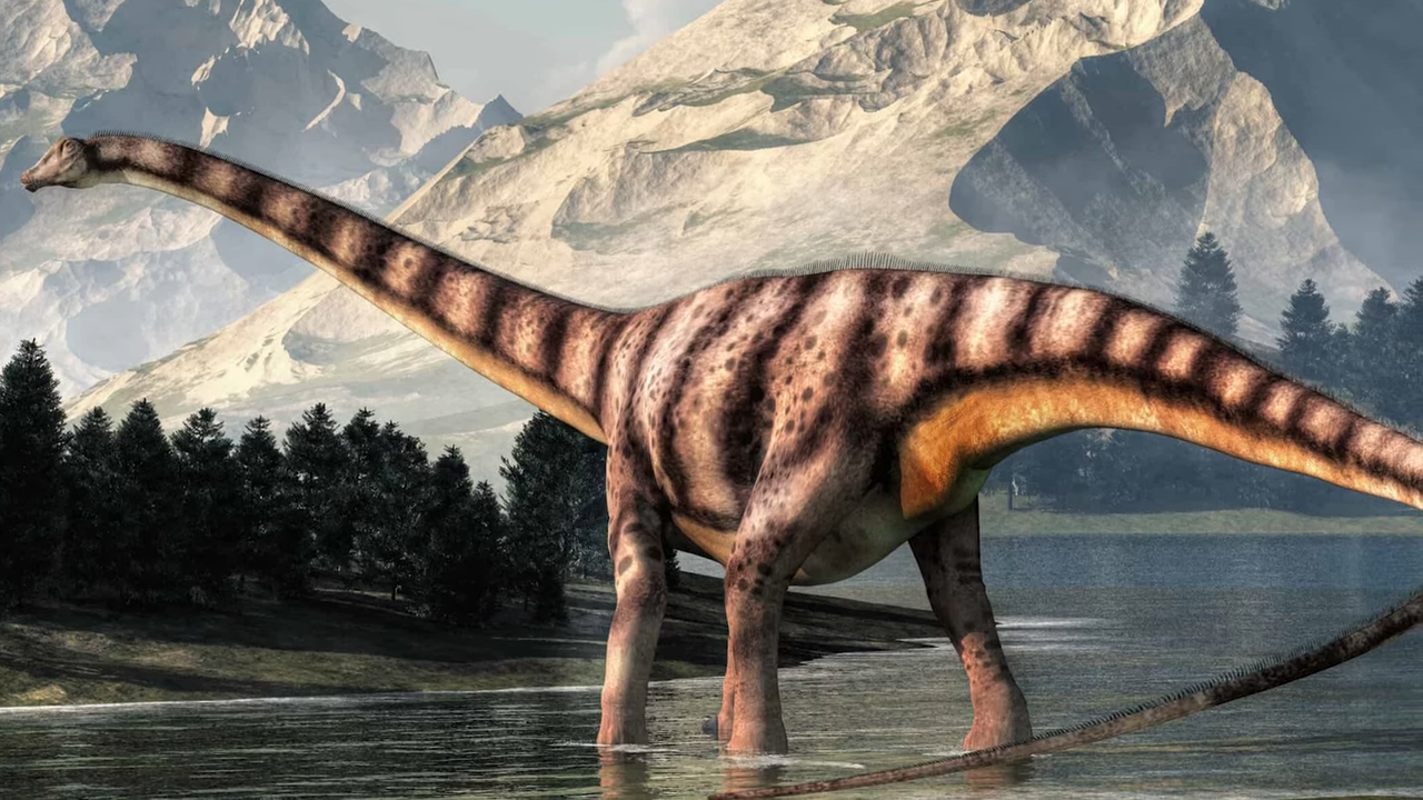 The longest dinosaur ever discovered may have carried a secret weapon
