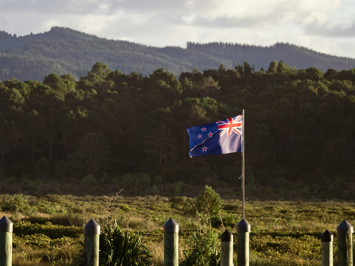 New Zealand cracks down on visa breaches, flags nearly 100 migrants in ...