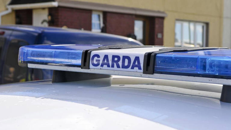 Man due in court over vandalism of multiple vehicles in Cork city