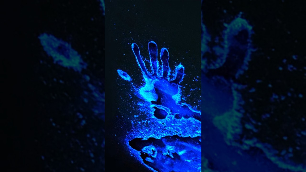 Blood vs luminol is insane