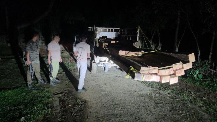 Assam: Illegal timber seized in Boko, forest department cracks down on ...