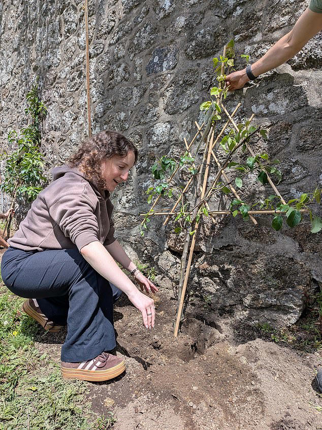 Inside England's best large hotel and a luxury outdoor foraging experience