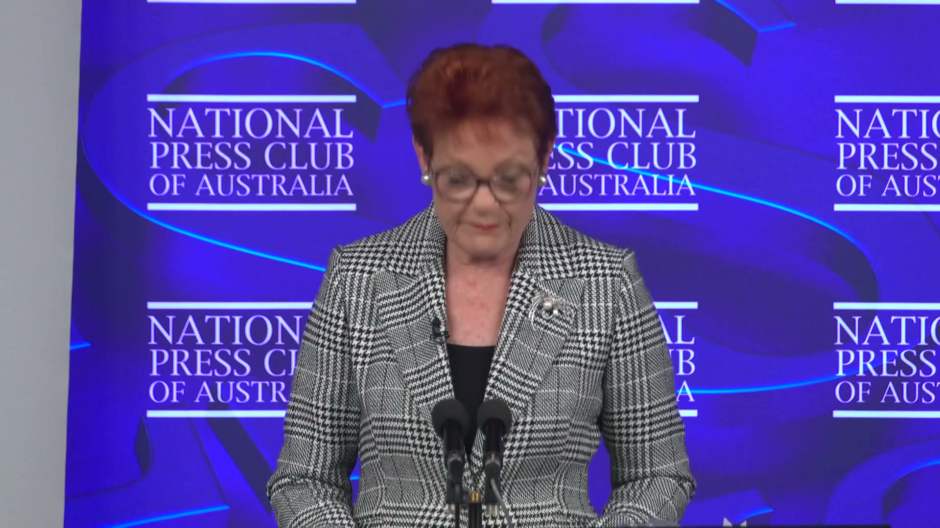 One Nation leader Pauline Hanson takes aim at multiculturalism in first ...