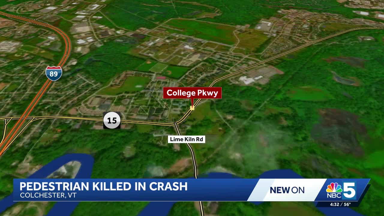 Police investigate fatal pedestrian crash near St. Michael's College