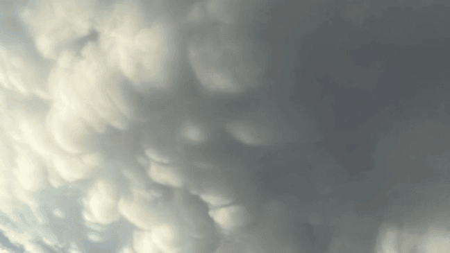 Threat of severe storms prompts another Weather Alert Day