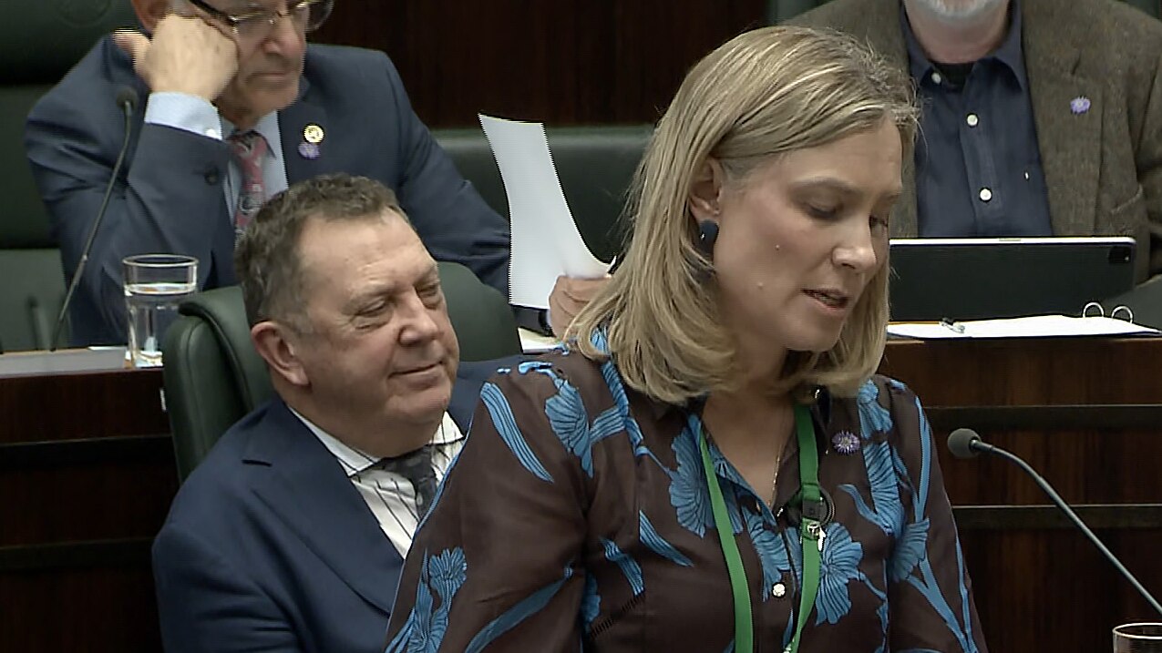 Minister Gavin Pearce denies he made a vomit gesture in Tasmanian ...