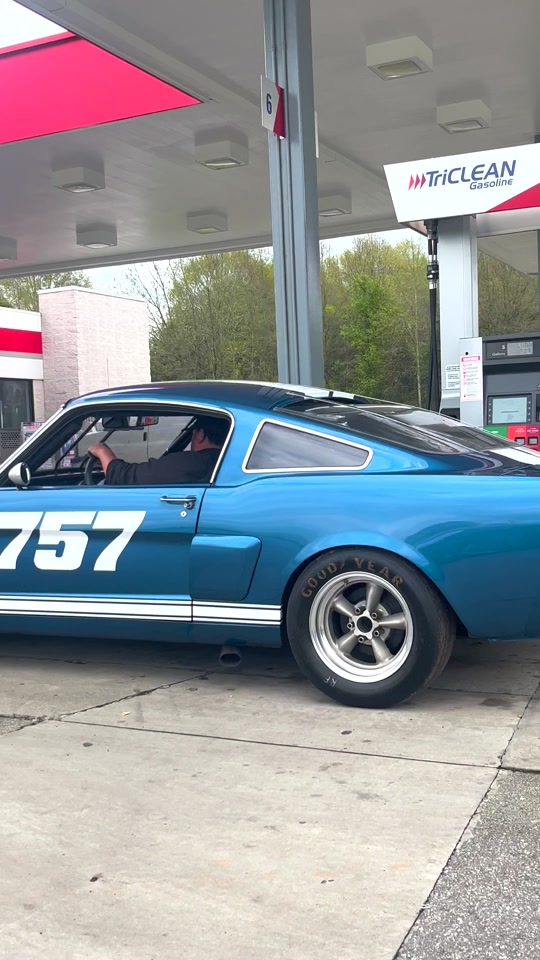Mustang GT350 meets a real horse #ford #mustang