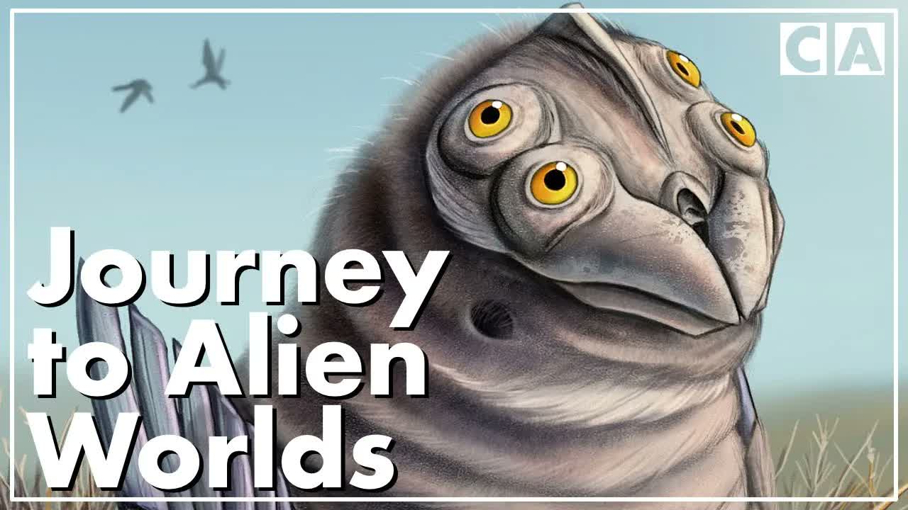 What alien life might look like in a crowded universe