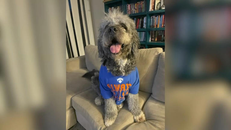 Mayor promises ‘thorough and transparent' into LAPD Canoga Park dog ...