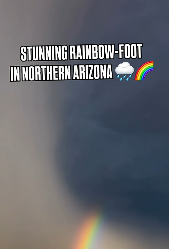 Can you spot the lightning bolt in this storm chasing footage?