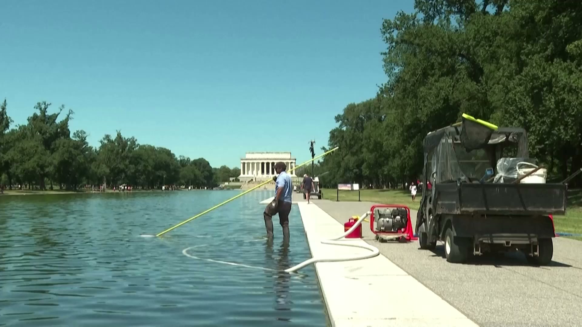 El estanque del monumento a Lincoln en Washington se vuelve verde tras ...