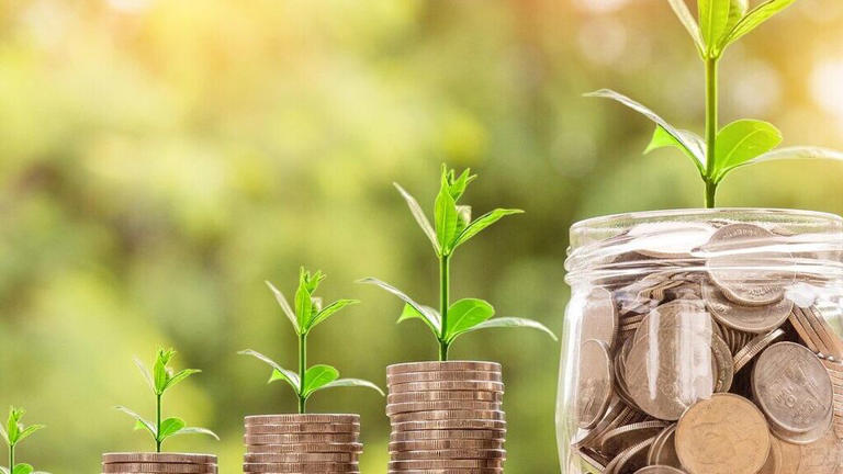 Should you look at the P/E ratio of mutual funds? Here's what experts say