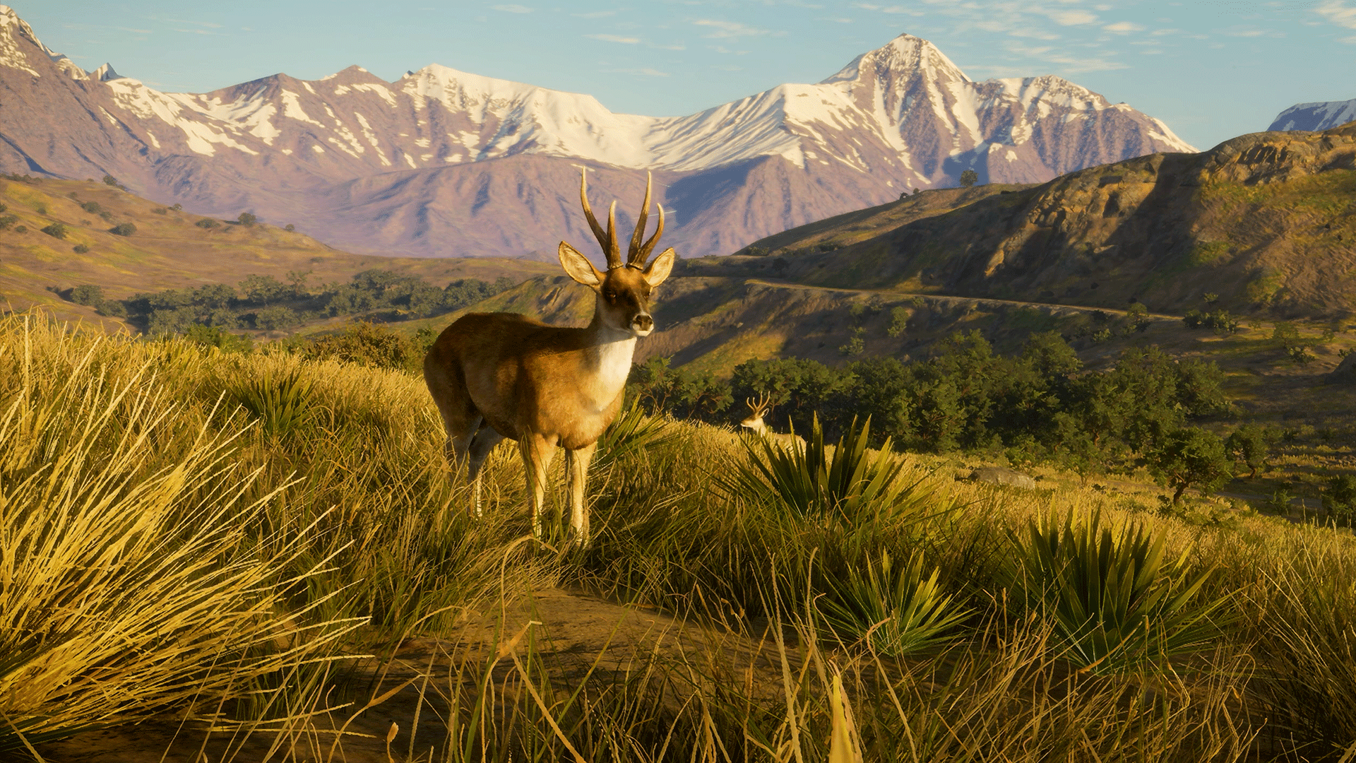 TheHunter: Call of the Wild - Official Peru Hunting Reserve Launch Trailer