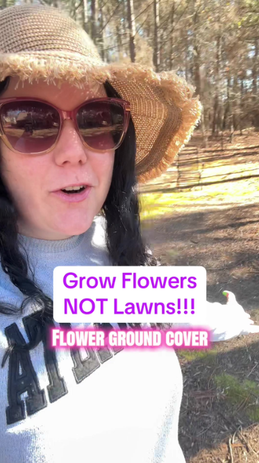 Low maintenance ground cover flowers for any garden