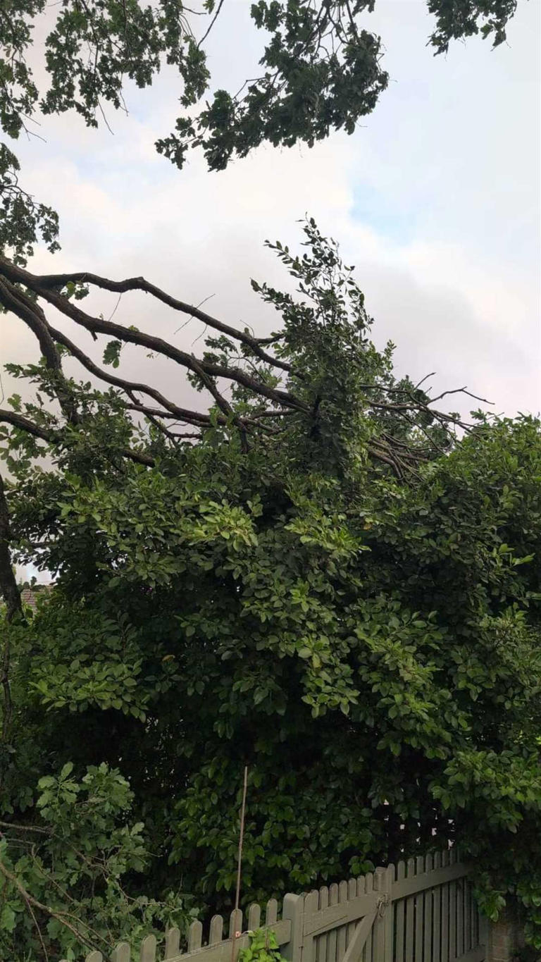 Golding Homes claims Maidstone council responsible for maintaining ...