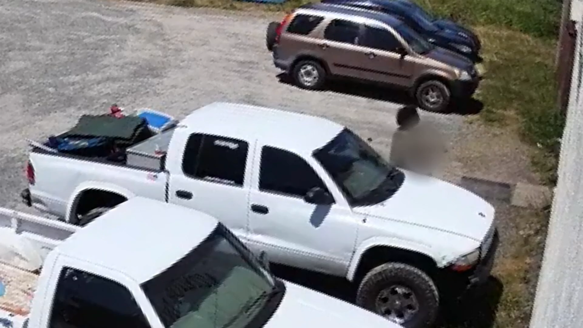 Man arrested after dog dies in hot truck, body dumped behind Marion ...