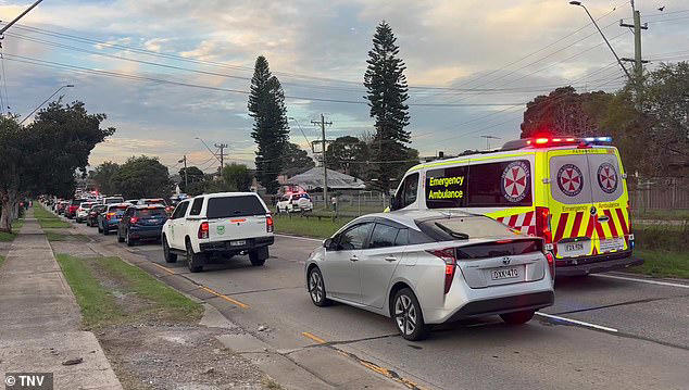 Bystanders' frantic rescue effort as two children, 1 and 5, are killed ...