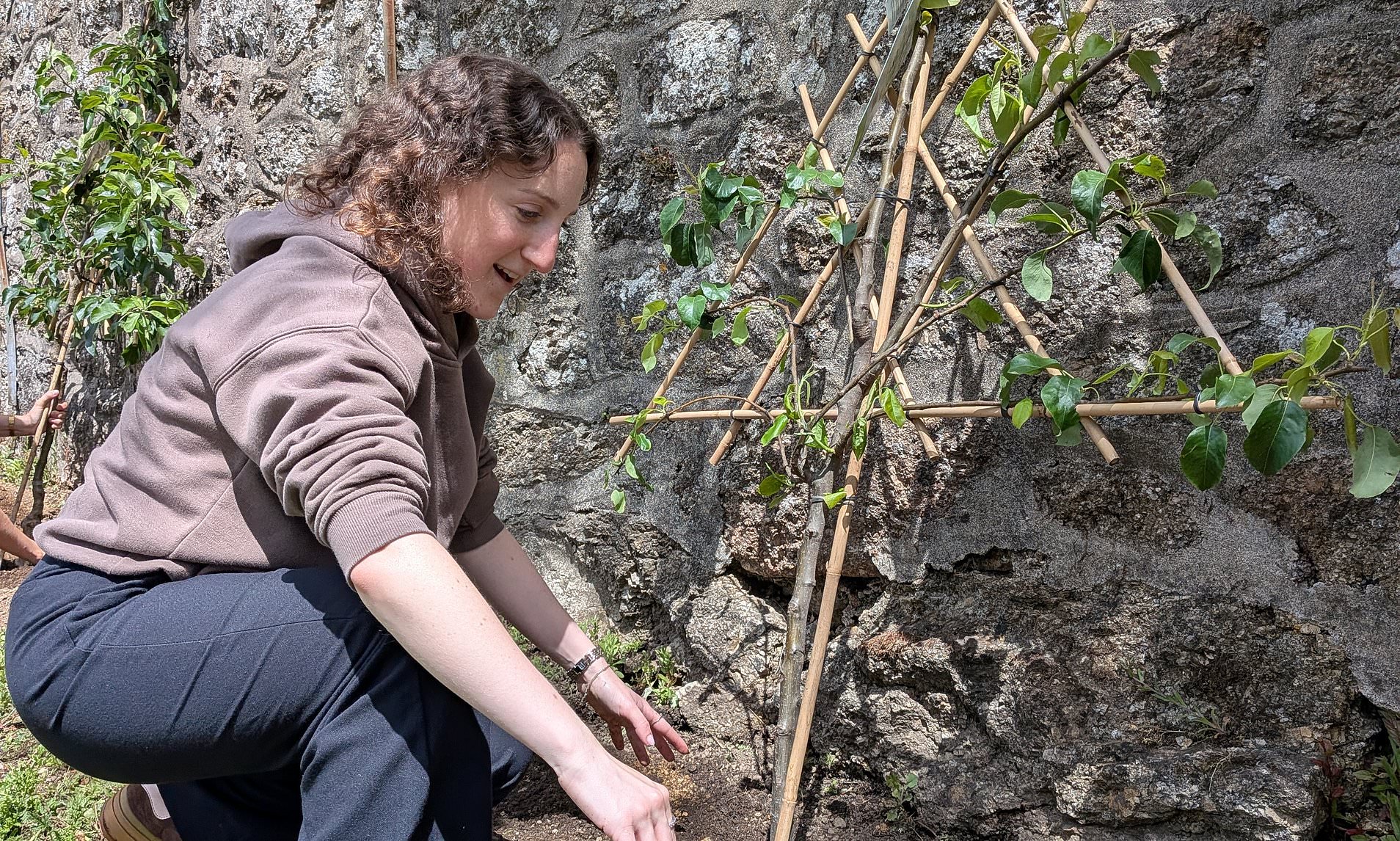 Inside England's best large hotel and a luxury outdoor foraging experience