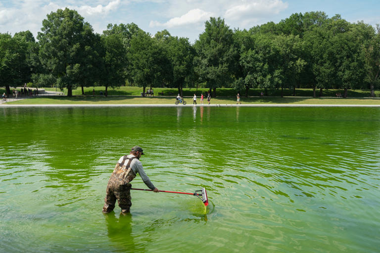 4 problems with manually pouring hydrogen peroxide into green ...
