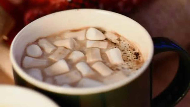 Father’s Day 2026: Blender heater recipes for rich hot chocolate