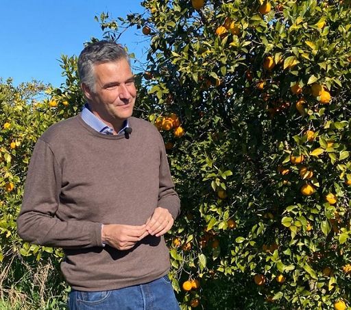Arancia Sicilia Igp, al via campagna adesione nuovo disciplinare