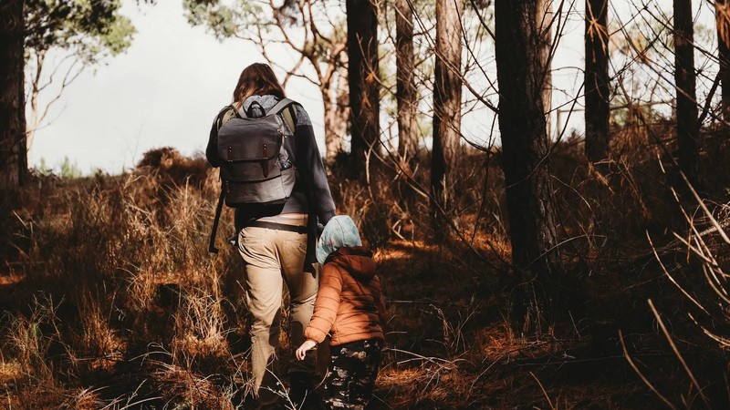 Best easy hiking trails in Cape Town for families and beginner hikers ...
