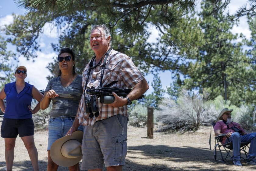The woman who championed Big Bear's celebrity eagles leaves behind a ...