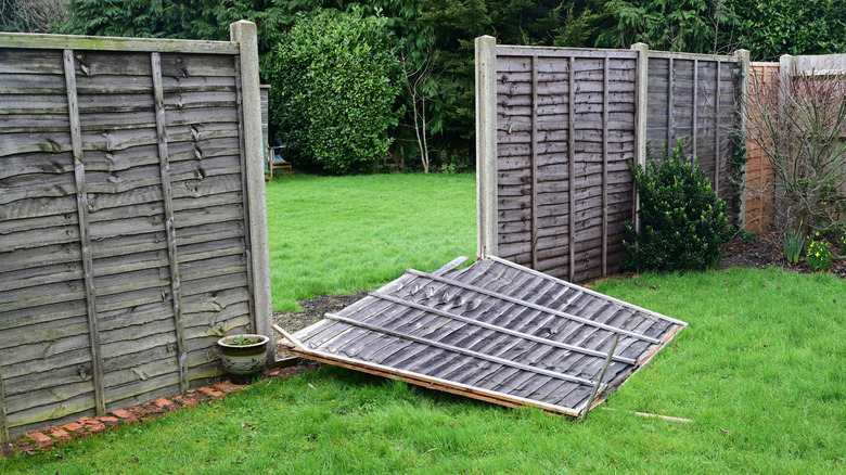 Prevent common fence damage with these simple tips