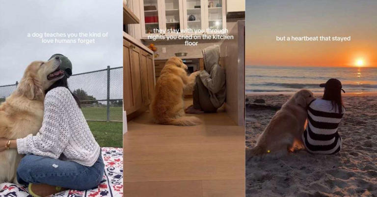 Soul dog's love for owner sees no judgment, only companionship