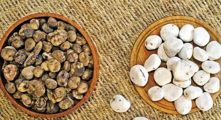 500 years buried in a jar, and still intact: The wild story behind Peru ...