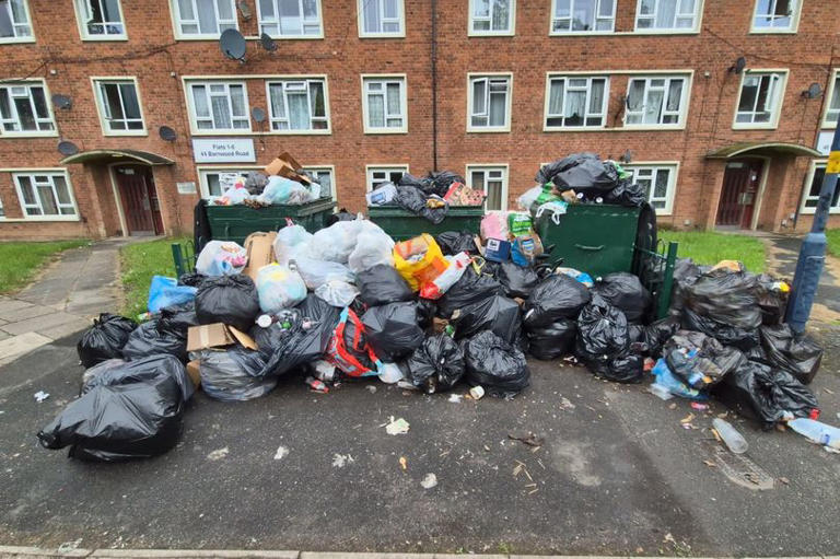 Birmingham residents fume as rubbish goes uncollected for 'six weeks'