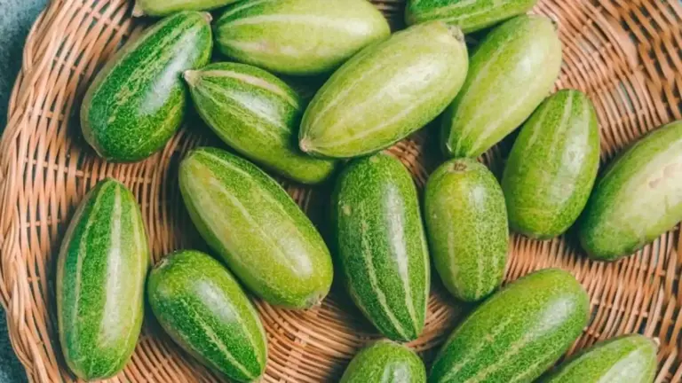 Parwal is the vegetable Ayurveda says can fix skin disease, fever and ...