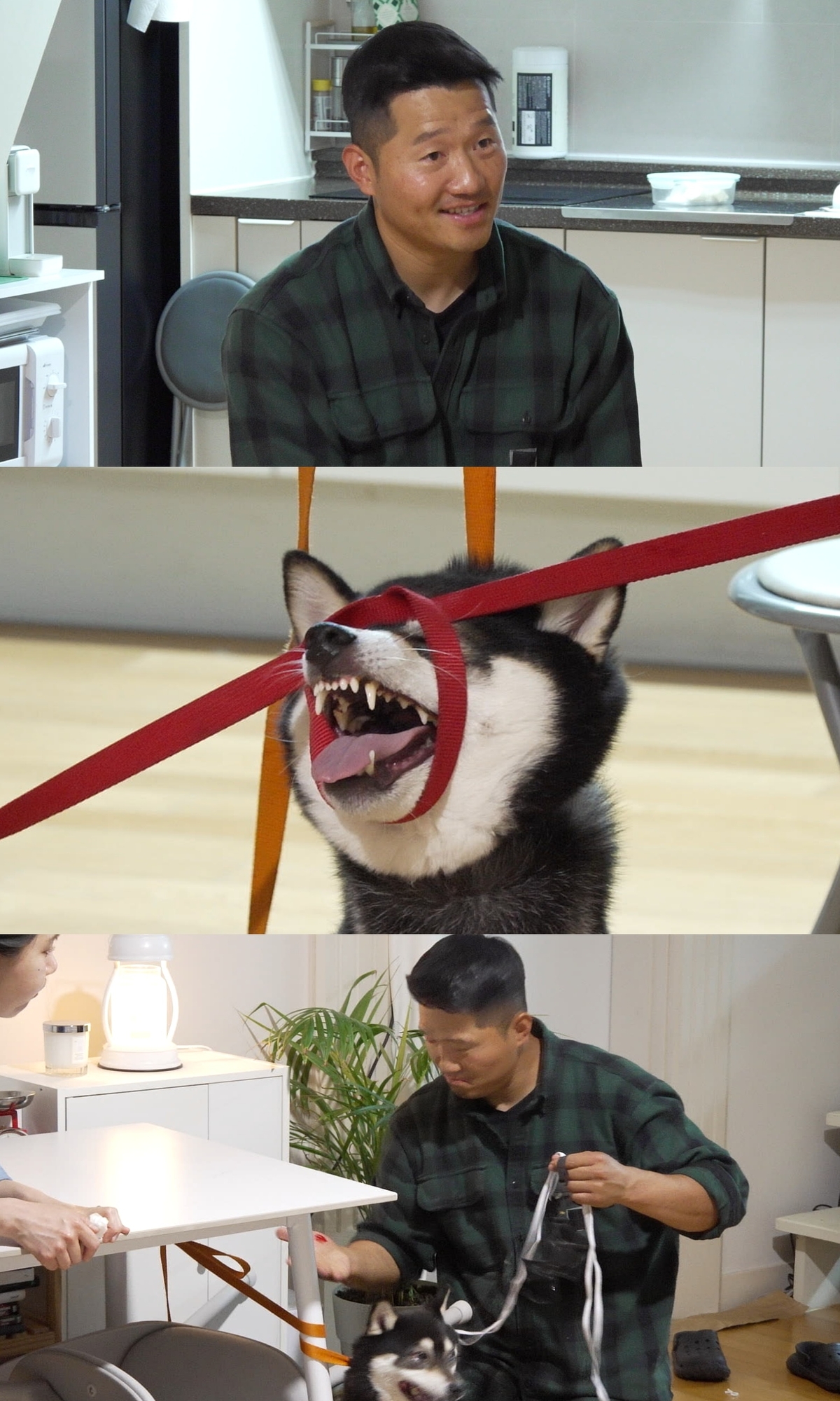 ‘Time of the Dog and the Wolf 2’ even Kang Hyung-wook got bitten? A ...