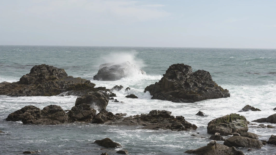 Carlsbad's coastal attractions, dining, and seasonal highlights