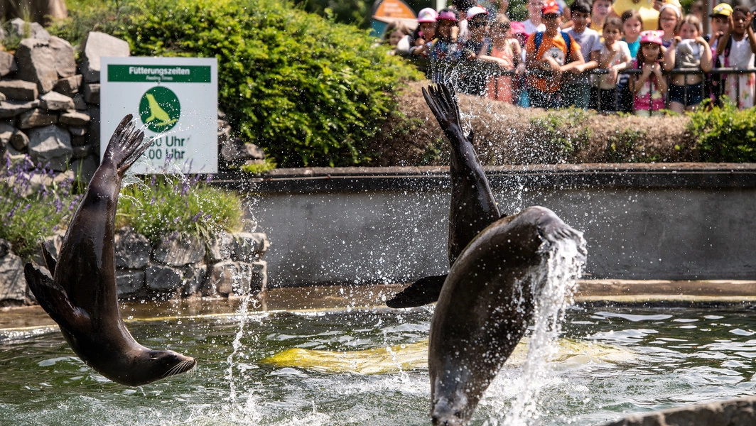 Comprehensive guide to the Columbus Zoo and Aquarium