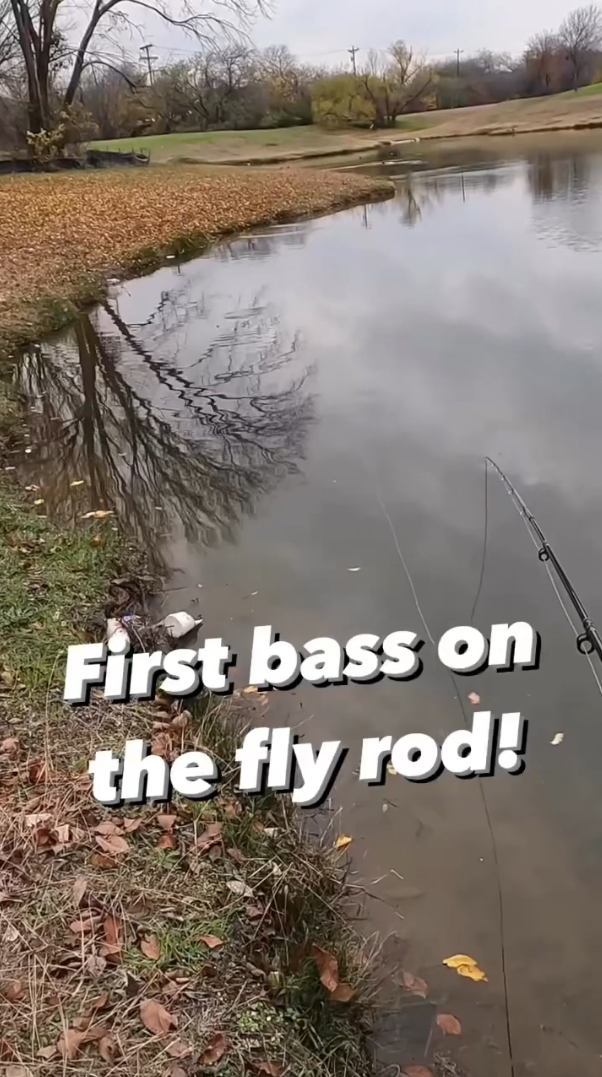 Does fishing really calm the mind? Texas bass fishing vibes