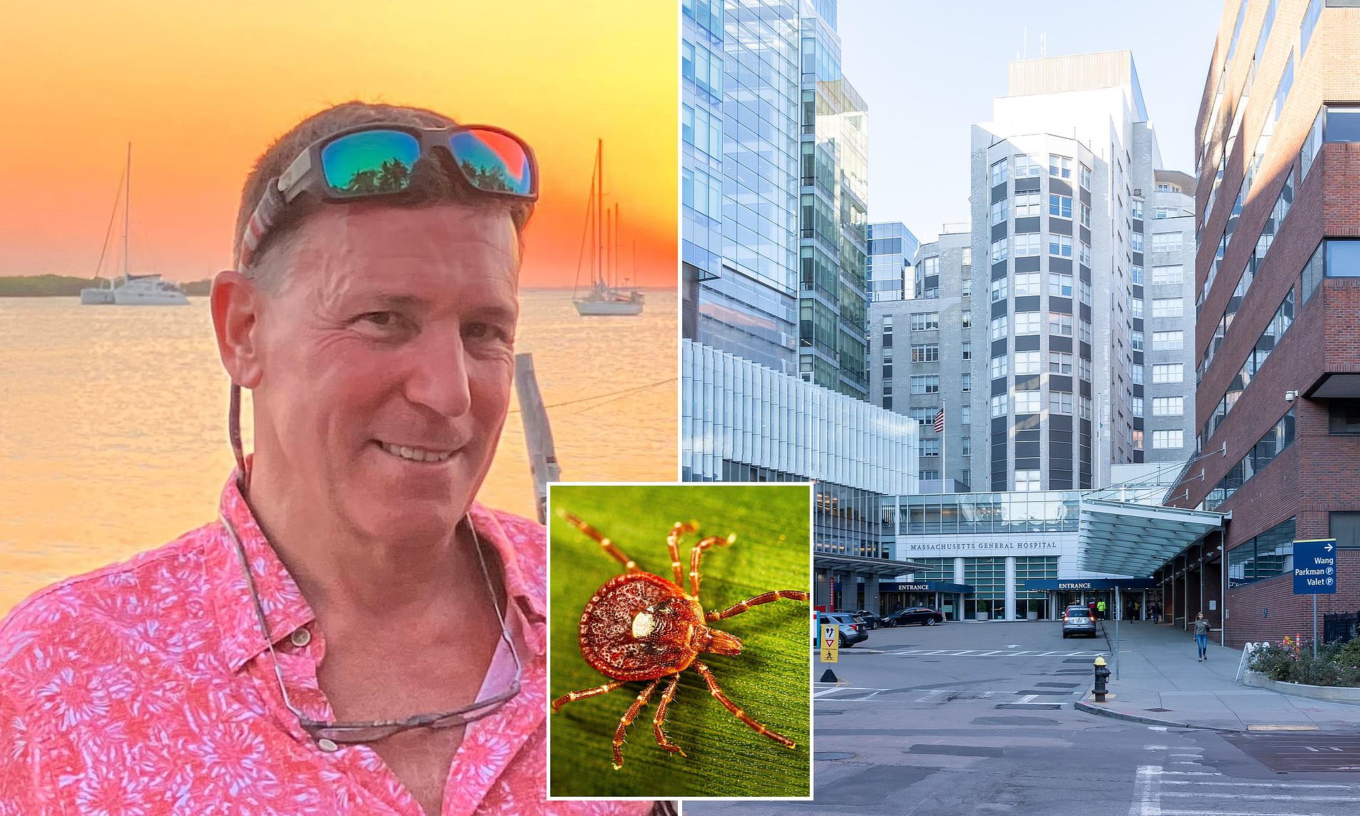 Experts' warnings as tick virus that causes brain damage in 15 minutes ...