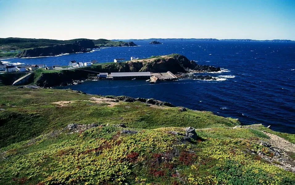 Newfoundland adventures from whales to wild fjords