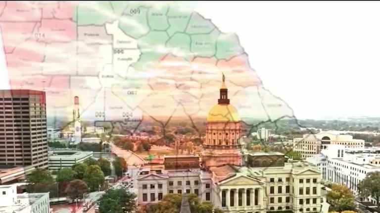 Georgia lawmakers table redistricting in special session