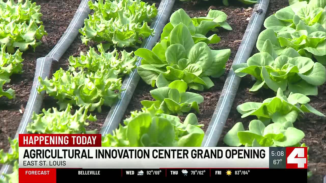Jackie Joyner-Kersee opens new innovation center aimed at growing ...
