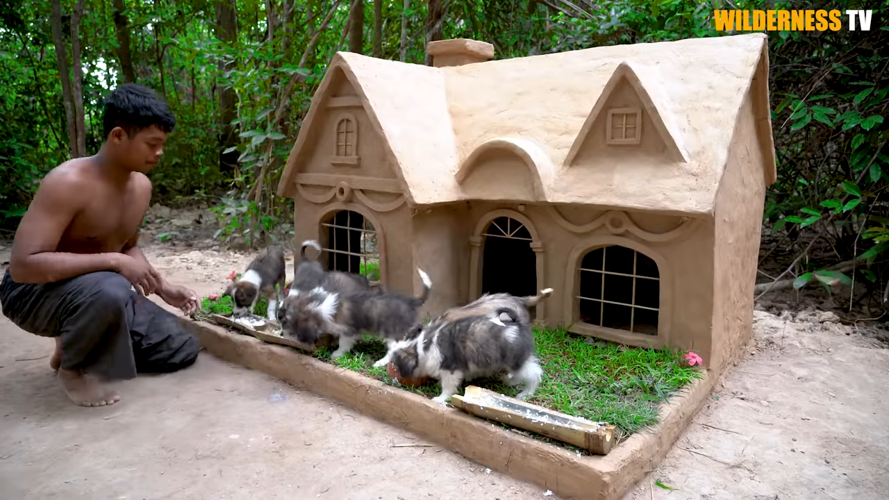 Watch these tiny scared puppies find safety in a shelter with a fish pond