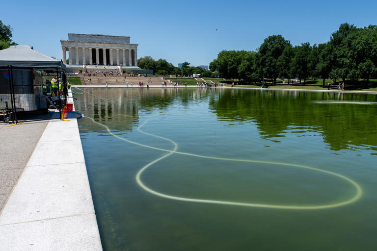 Jimmy Kimmel taunts Trump over DC’s algae-infested Reflecting Pool