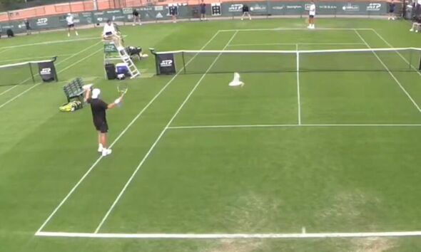 Tennis match halted by seagull as bird steals player's food with ...