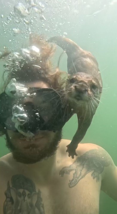 My otter friend!