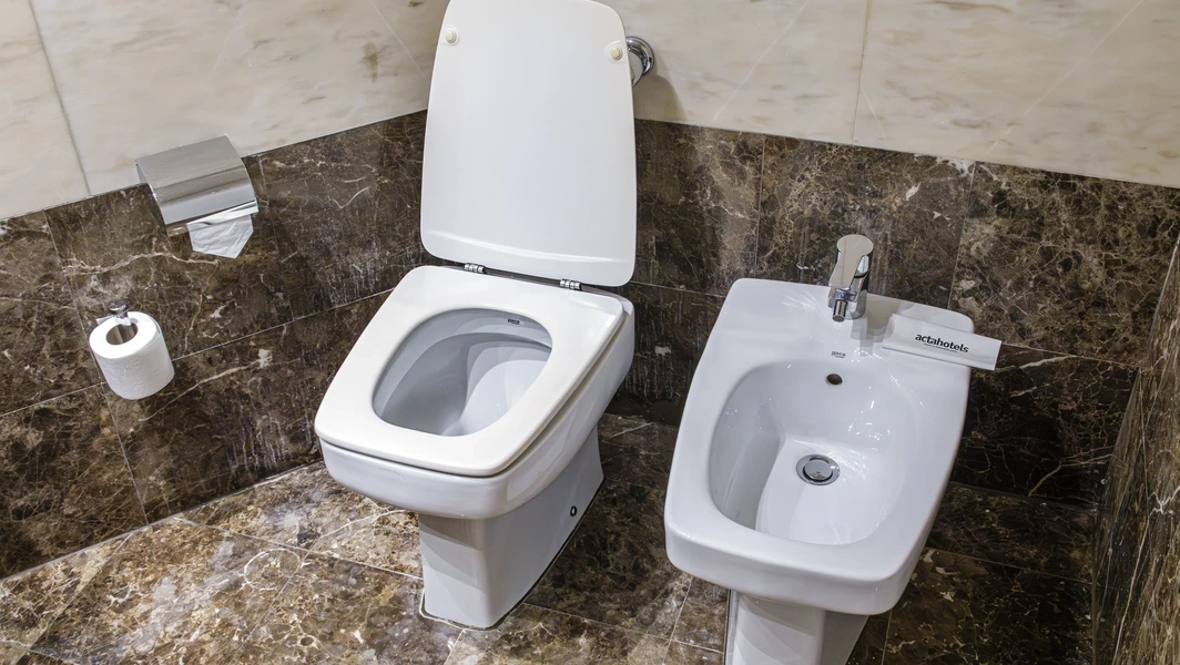 Bidet basics to upgrade your bathroom life
