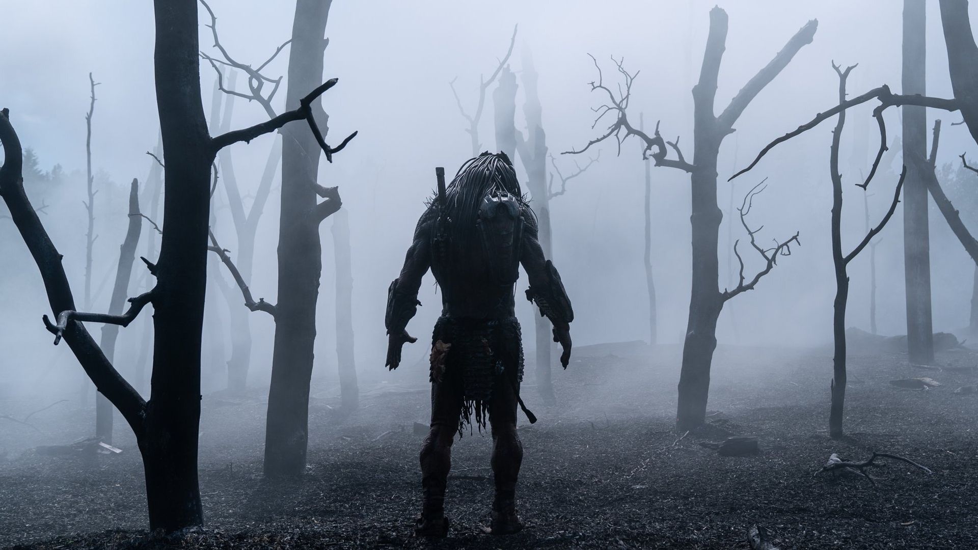 Disney's predator movie is so good, we forgive it for not being a ...