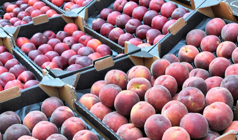 Rappel produit chez Carrefour : ces pêches et nectarines ne doivent pas ...