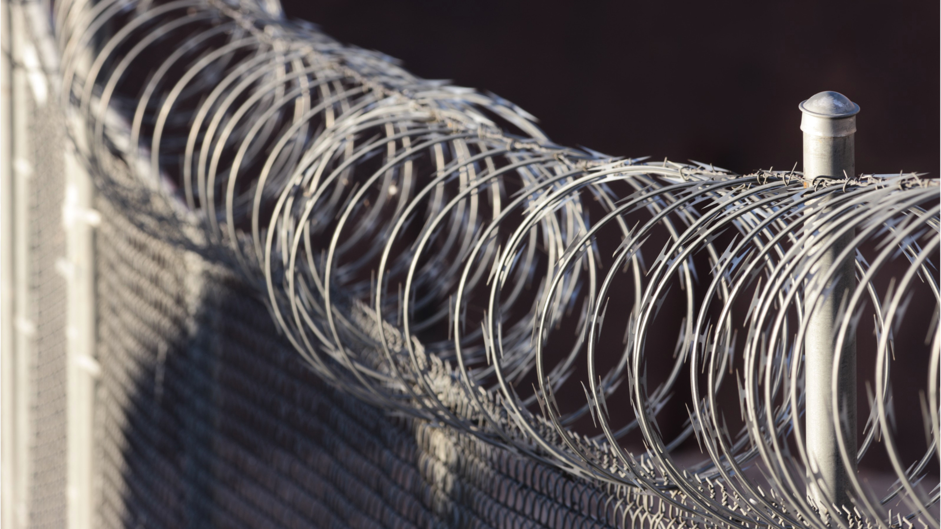 ICE Detention Centres See Sharp Rise in Deaths During Trump's Second Term